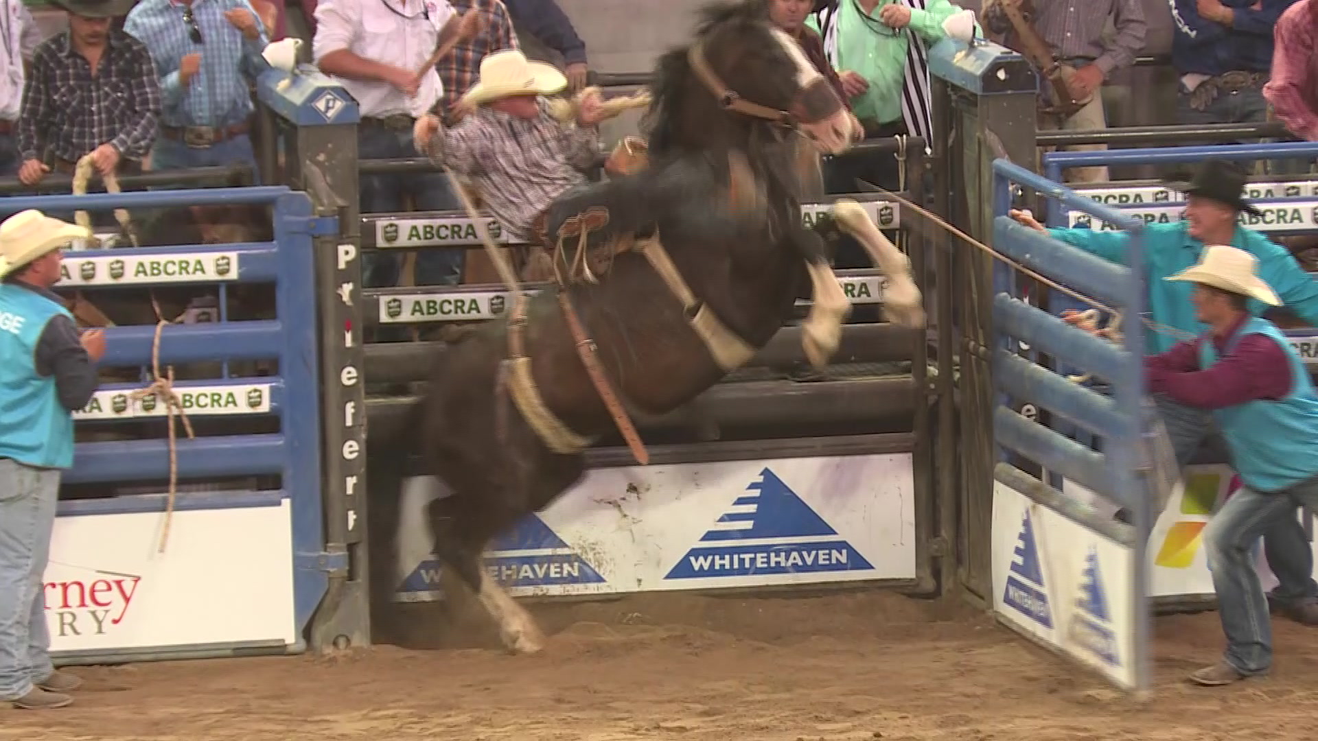 Australia’s top rodeo riders start ABCRA NFR competition – NBN News
